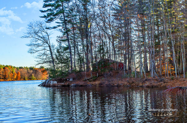 By The Saco River: It was about a half hour before sunset when these ...