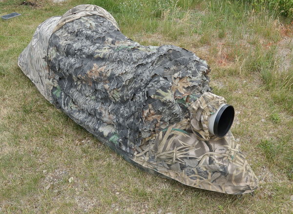 Floating Blind Bird Photos: Hi All, My favorite kind of wildlife ...