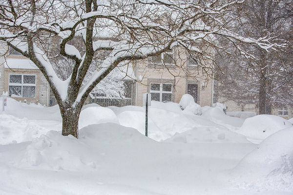 Our area during Snow Stoarm-2016: I want to share a few photos which I ...