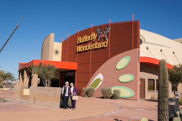 Butterfly Wonderland, Phoenix, AZ: From their website......Step inside ...