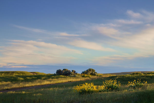 Mellow Landscapes: All are processed for a more gentle mood. Thanks for ...