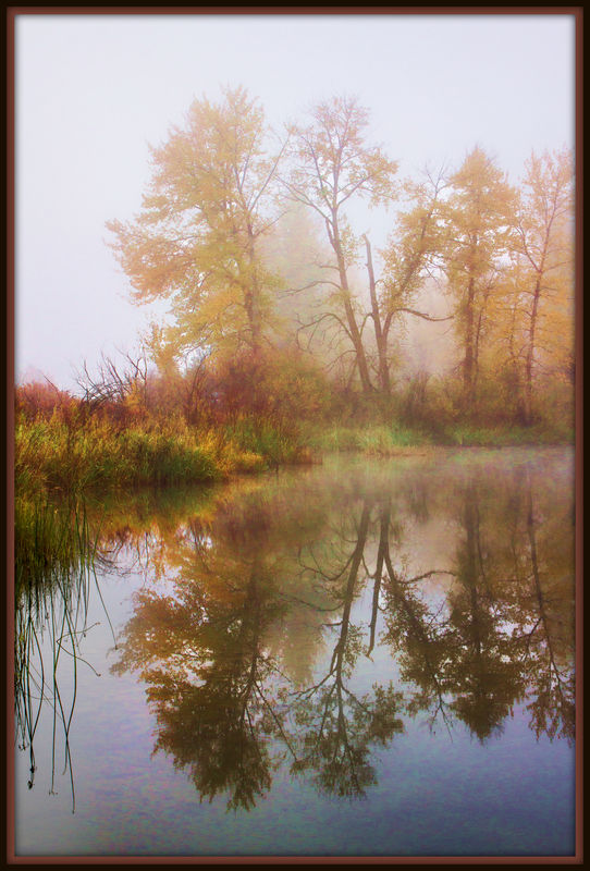 Mellow Landscapes: All are processed for a more gentle mood. Thanks for ...