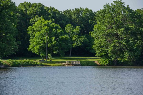 A few from a local park: Shot these at a park in Harrisonville ...