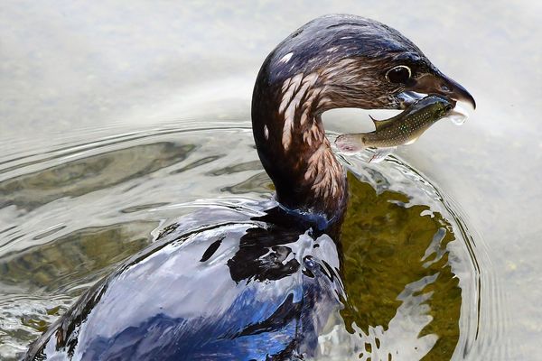 Hand held versus tripod: Lots of discussion about high quality long ...