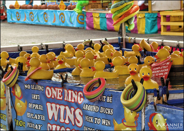 Brookhaven Fair... Part 2: More from our fun day at the fair!! Hope you ...