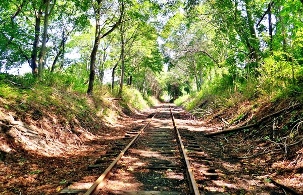 Rail riding: Rail Explorers (originating in Australia) provides peddle ...