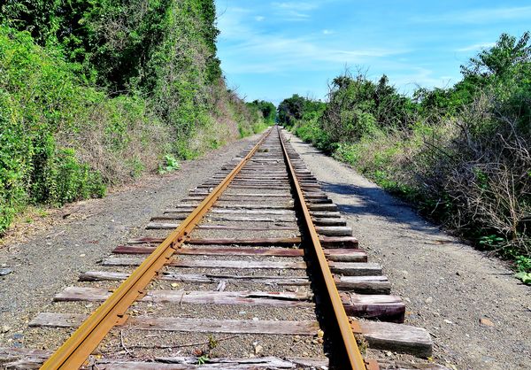 Rail riding: Rail Explorers (originating in Australia) provides peddle ...