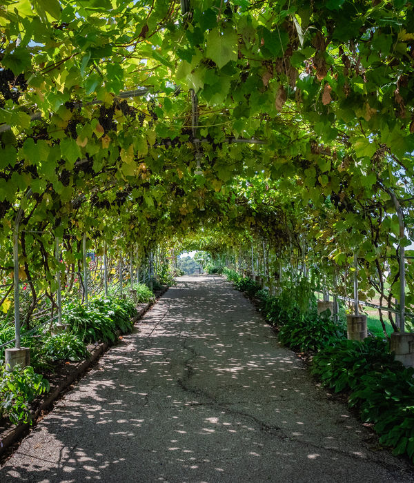 Winery: Found a hidden gem, Vinoklet Winery in Cincinnati, Ohio.