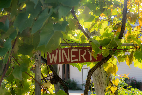 Winery: Found a hidden gem, Vinoklet Winery in Cincinnati, Ohio.