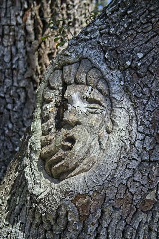 Tree Spirits: These are on St Simons Island in Georgia! They are carved ...