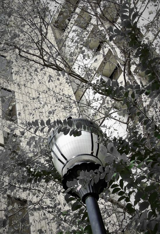 Random: A different perspective...