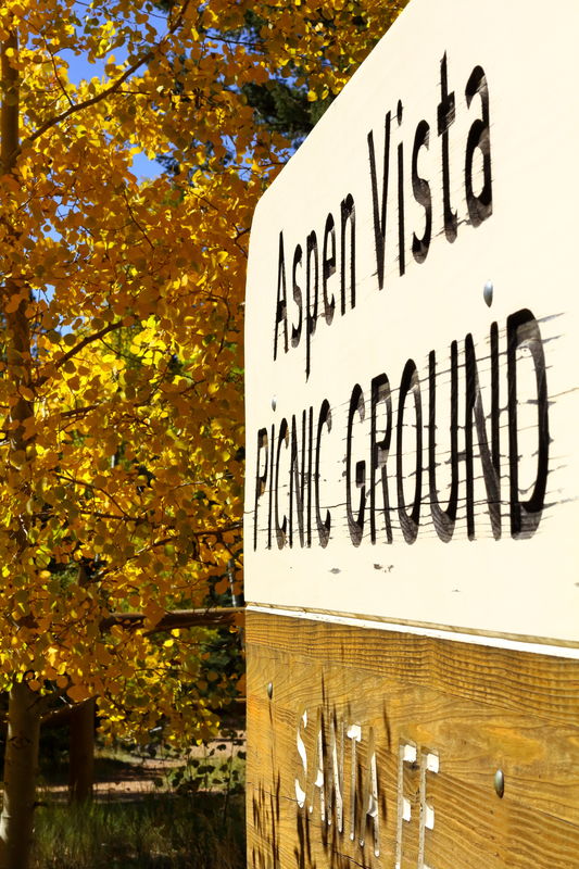 Farewell to Fall: Farewell to Fall SFNM...