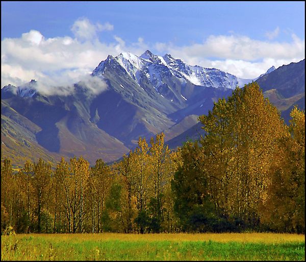Alaskan Farms: There are some very nice ones.