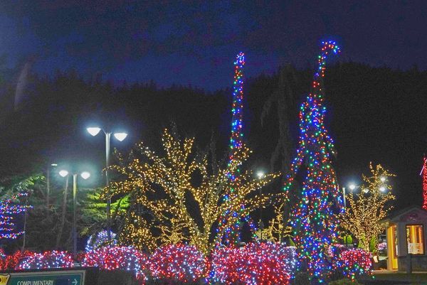 Some Christmas Lights of Blyn, WA: Blyn, WA is the Tribal center for ...