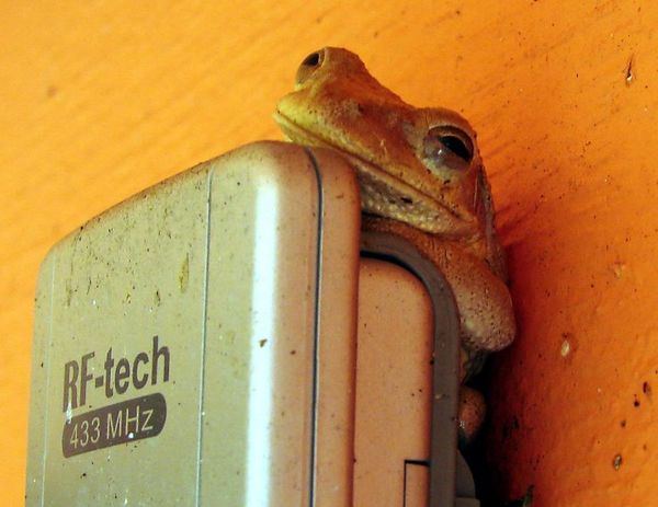 Tech Frog: Sony CyberShot H1...