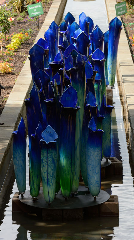 Jason Gamrath......Glass works: Daniel Stow Botanical Gardens in ...