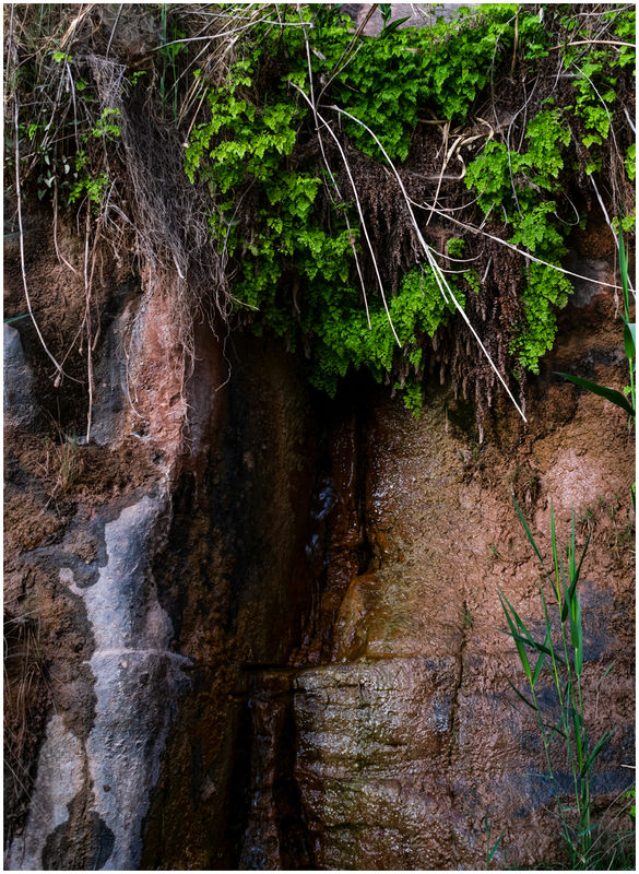 The Quiet Of Kane Spring: Broken only by the sound of a steady drip ...