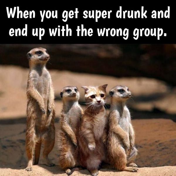 Wrong Group... Sometimes I think I'm just in the Wrong Group...