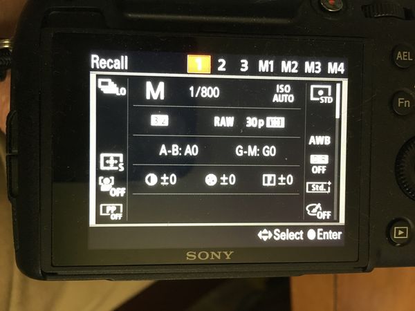 Using the memory buttons on the Sony RX10 iv: How do I apply my ...