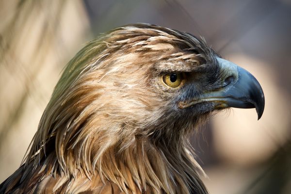 Visit to the Phoenix Zoo: Here are a few photos from a recent visit the ...