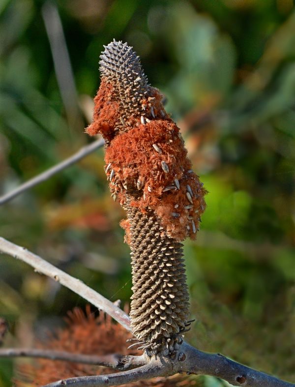 Some oddball shots from a drive in the country: I took these from the ...