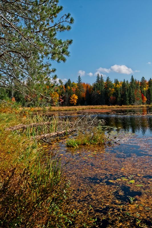 Cache Lake, Algonquin Park, Canada: Driving south from Canisbay Lake on ...