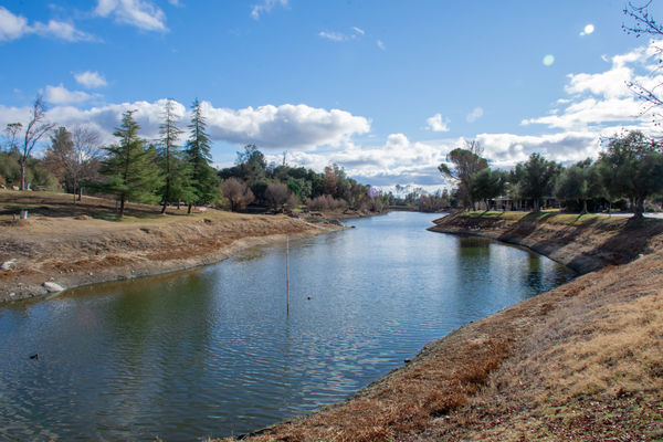 Some landscapes and deer: My son bought his first house. He bought in ...