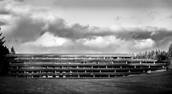 Weyerhaeuser Facility: The Weyerhaeuser Company, a long staple in the ...