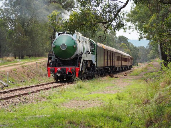 Steam Train 3801 on the tracks again: Doing test runs...