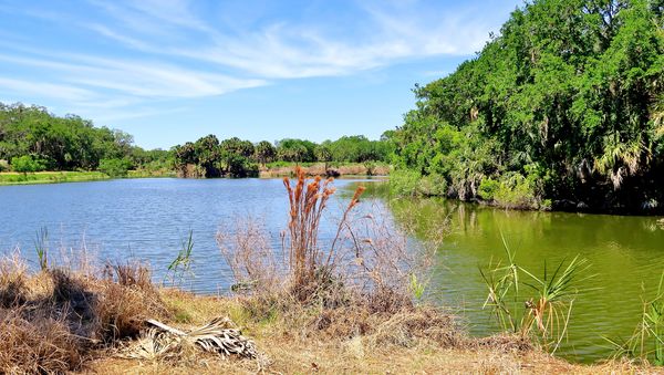 Red Bug Slough: The "Red Bug Slough" is a 72-acre nature preserve in ...