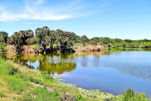 Red Bug Slough: The "Red Bug Slough" is a 72-acre nature preserve in ...