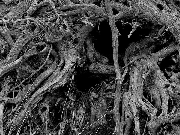 The Roots of Sleepy Hollow: For those who have seen the Film, the ...