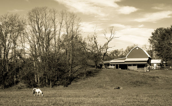 Pastoral Scenic: I have photographed this Madison County, Indiana, farm ...