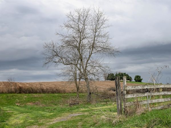 Ominous sky: Taken at my favorite abandoned farm.