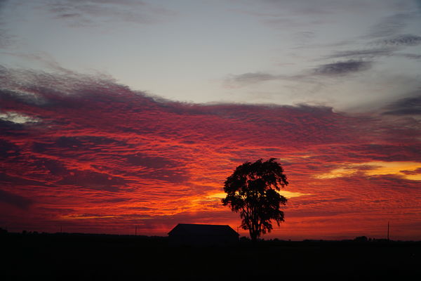 Sunset on a hot evening: Beautiful sunset.