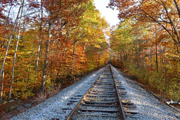 Fall photos of Conway Scenic Railroad: Photos taken along the Conway ...