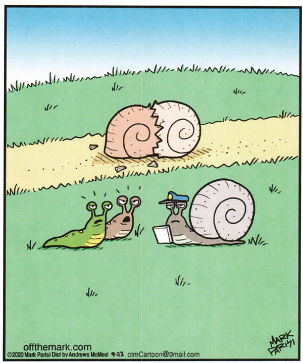 A few good cartoons: They don't take much thought...maybe a little.