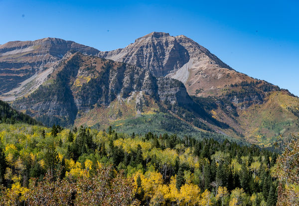 Fall Colors in Wasatch Mountains Utah: Took a short drive to the top of ...