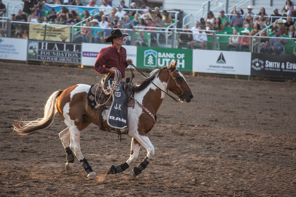 Beautiful horses at the Ogden Rodeo: Loved watching the horses agility ...