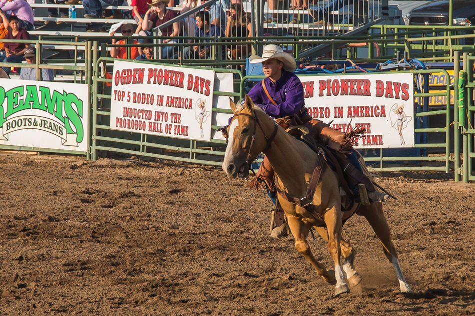 Beautiful horses at the Ogden Rodeo: Loved watching the horses agility ...