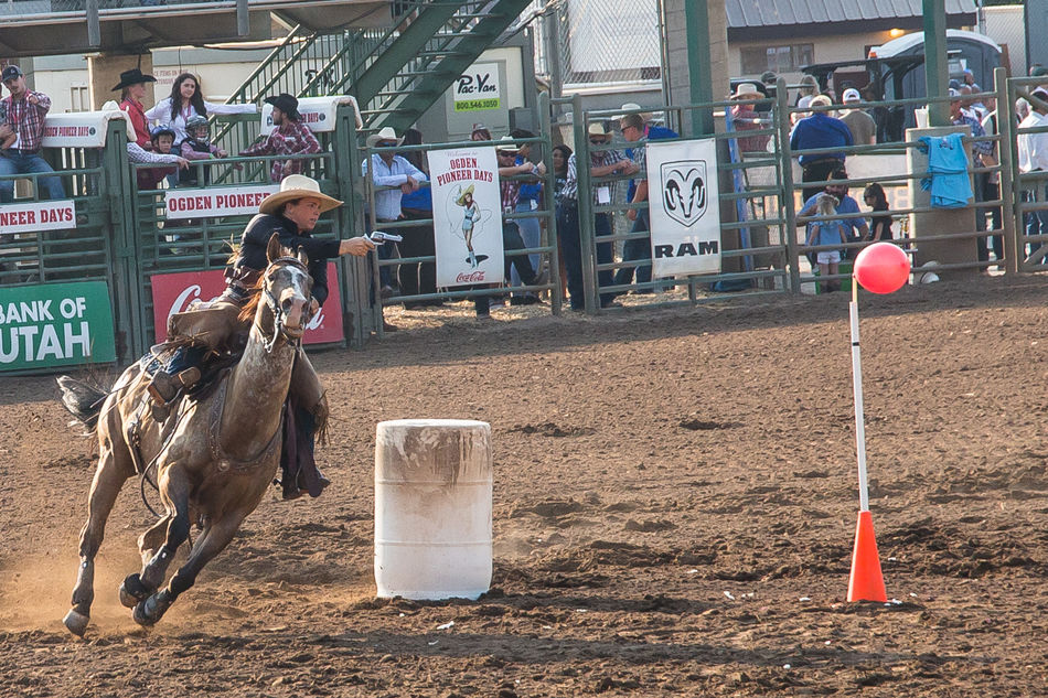 Beautiful horses at the Ogden Rodeo: Loved watching the horses agility ...