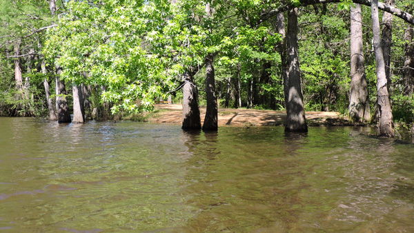 jeems bayou:
