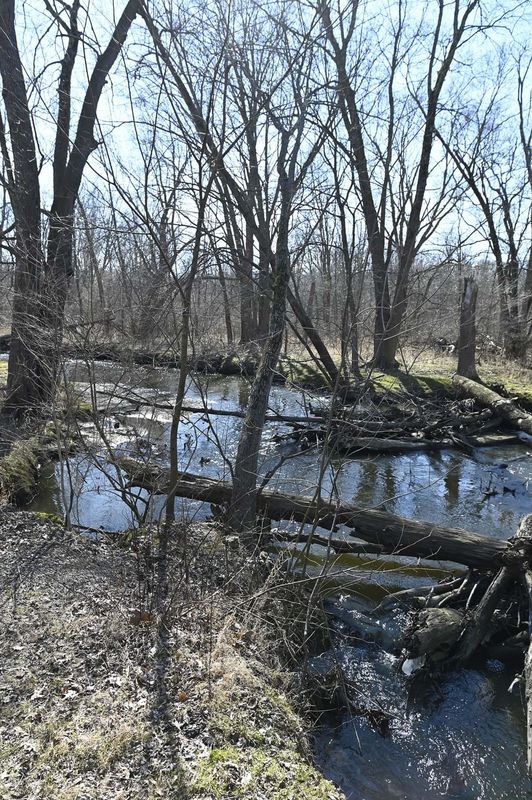 Sunday walk: Firestone Metro Park...