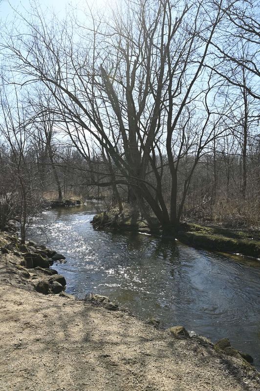 Sunday walk: Firestone Metro Park...