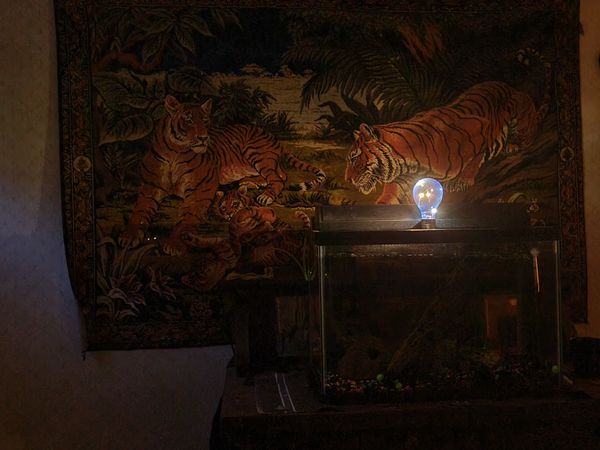 Last night's photos: I took several photos of last night's Moon ...