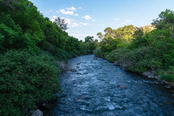 Provo River: Yesterday we took the dogs to the Provo River Parkway for ...