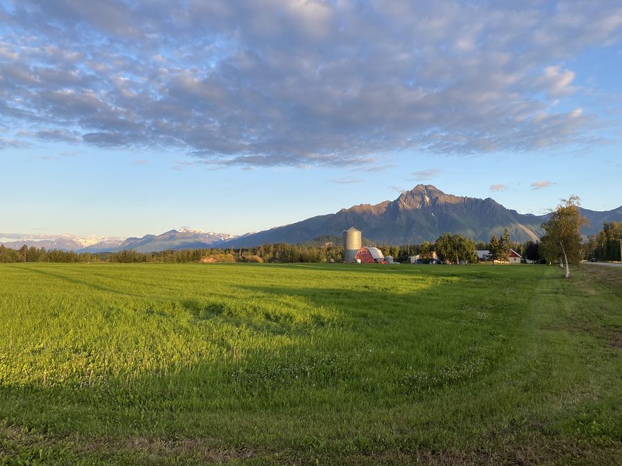 Matanuska Valley Farm and Pioneer Peak: We were out for an evening ...