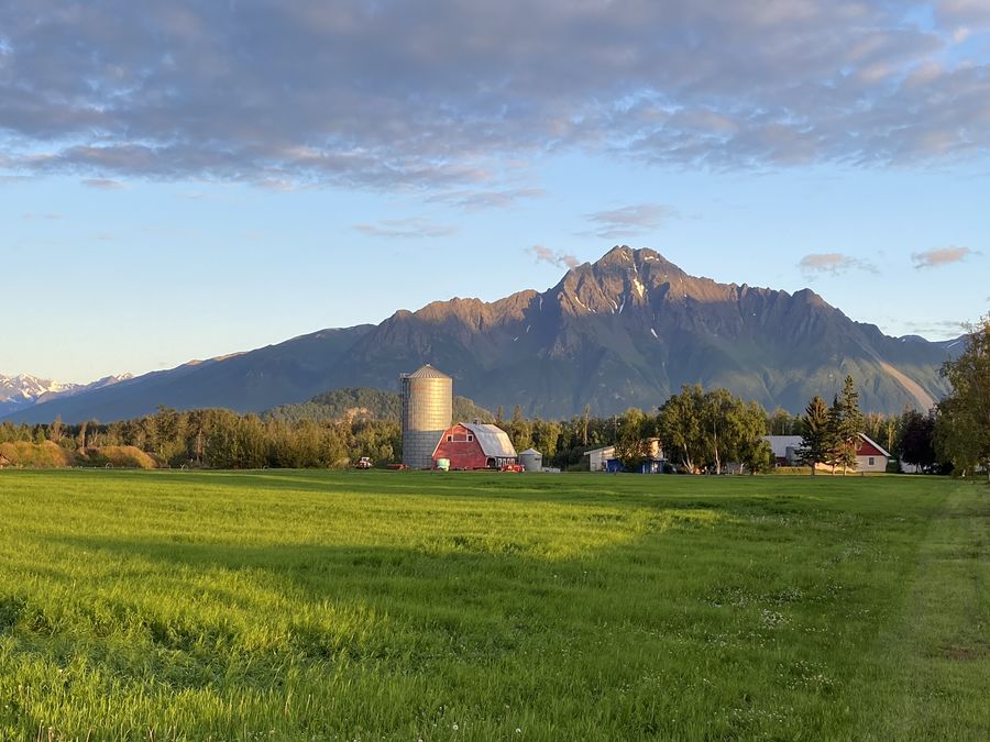 Matanuska Valley Farm and Pioneer Peak: We were out for an evening ...