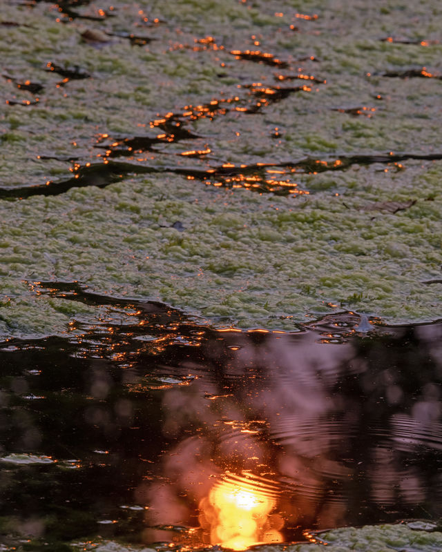 Sky, Stream, Pond on Fire: Forest fire smoke made for an interesting ...