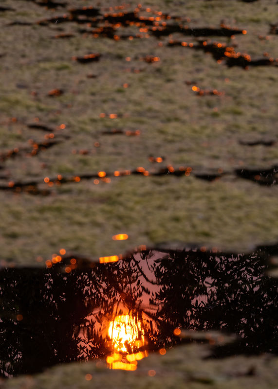 Sky, Stream, Pond on Fire: Forest fire smoke made for an interesting ...